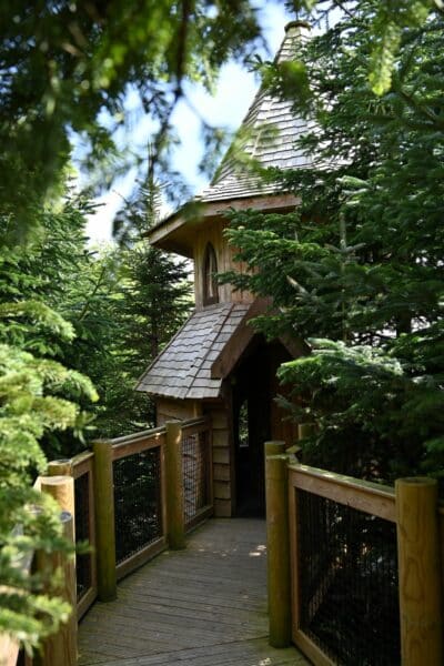 Raby Castle County Durham | One of England's Finest Medieval Castles