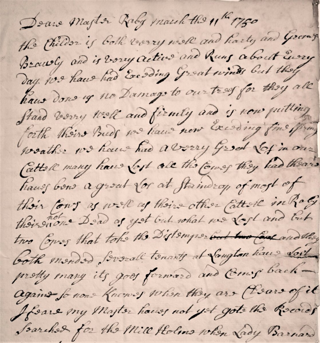 Raby Archives - Raby Castle