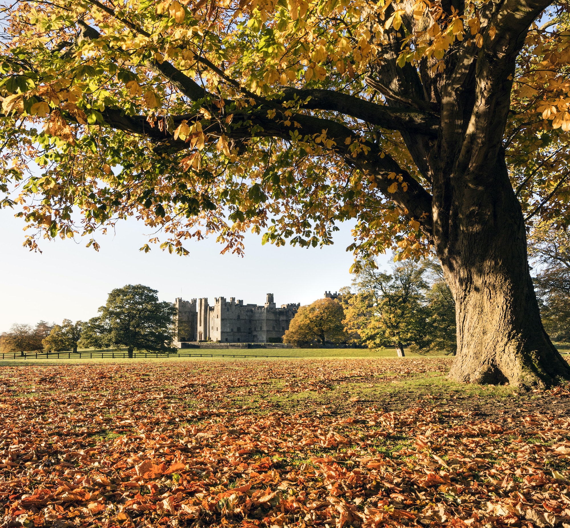 An Autumn to Remember - Raby Estates