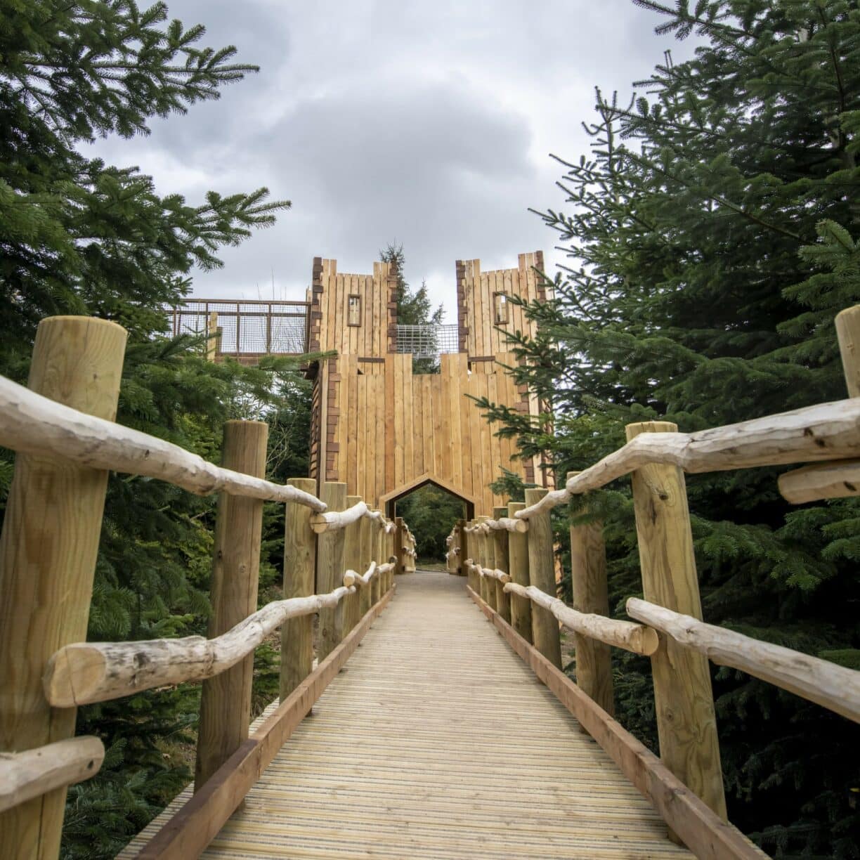 Poised for Playtime at The Plotters' Forest - Raby Estates
