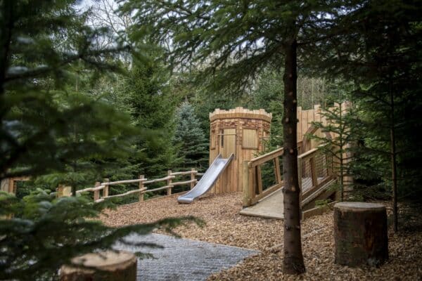 Poised for Playtime at The Plotters' Forest - Raby Estates