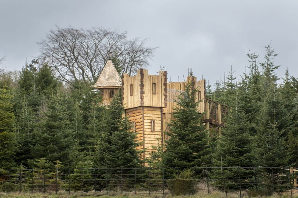 Poised for Playtime at The Plotters' Forest - Raby Estates