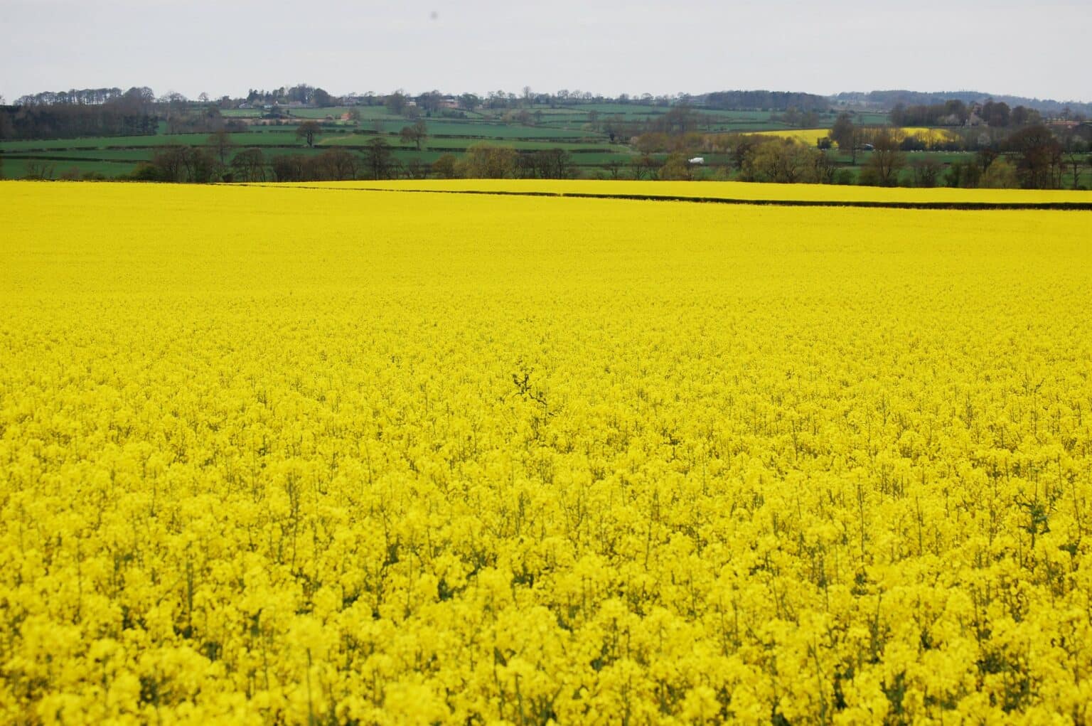 Regenerative Farming | Raby Estates