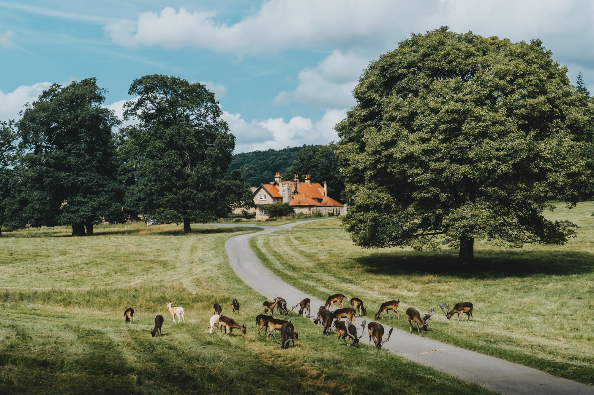 Filming Locations | Raby Castle | High Force | Raby Estates