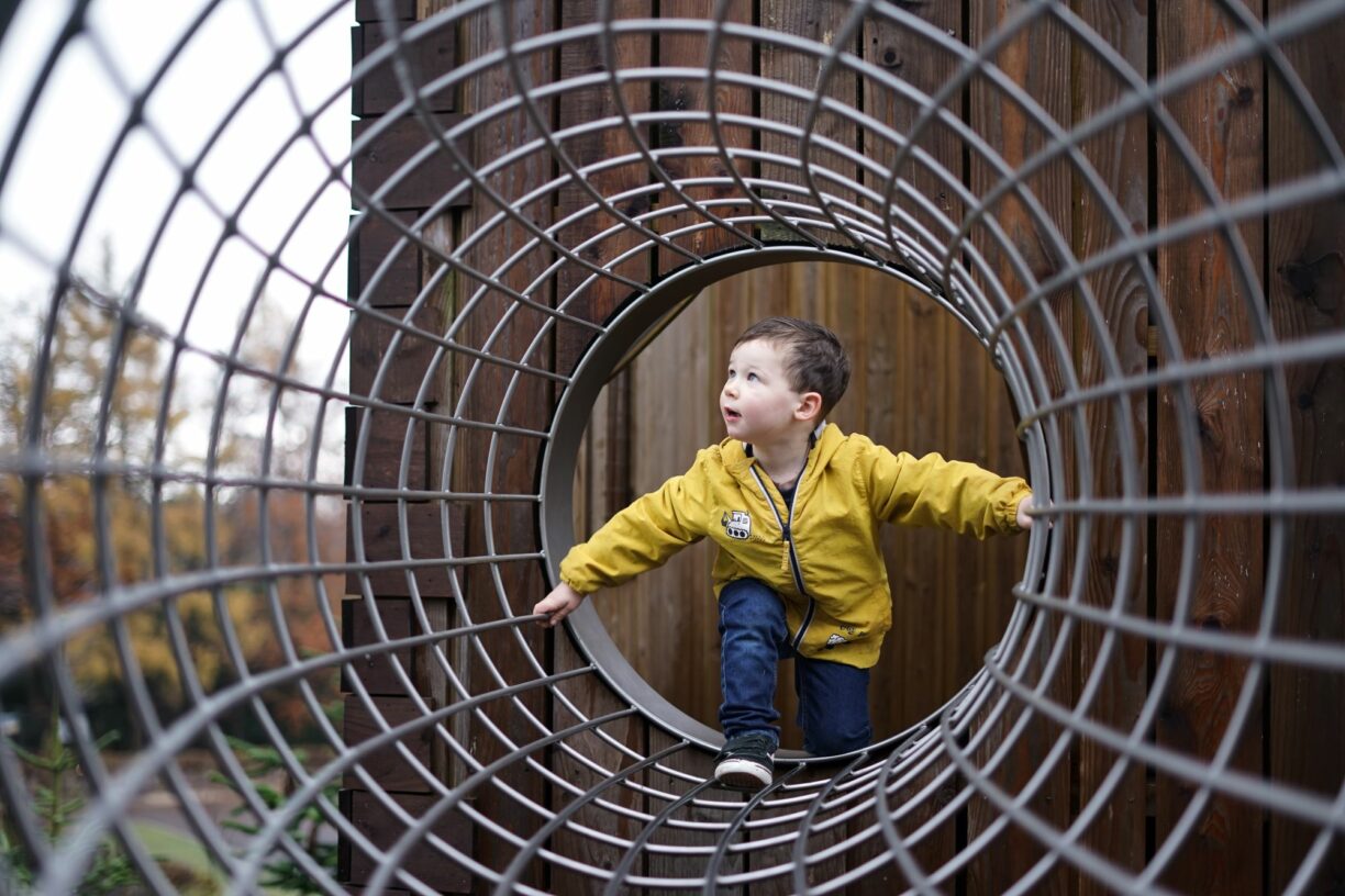 The Plotters' Forest, Deer Park and Gardens Tickets - Raby Estates