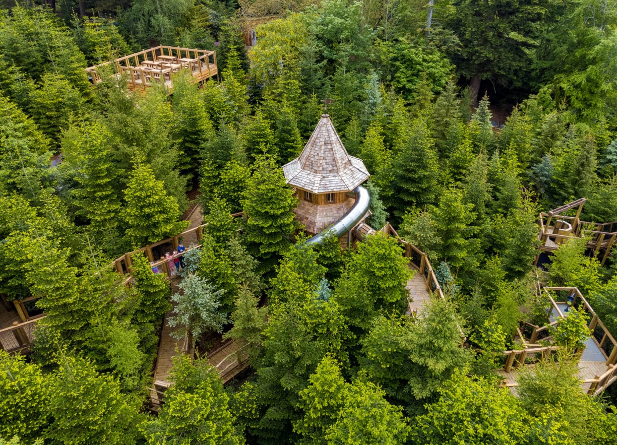 The best family day out at The Plotters' Forest, Park and Garden