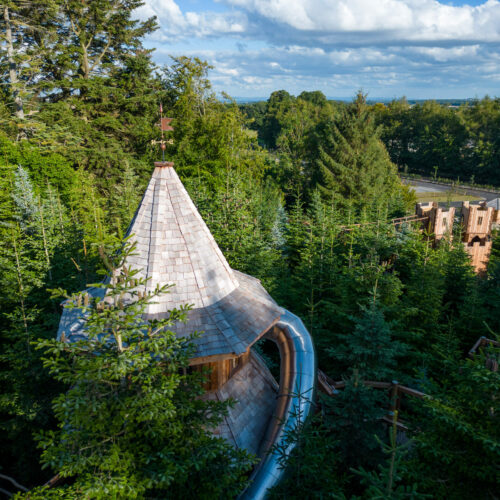 The Plotters' Forest - Raby Estates