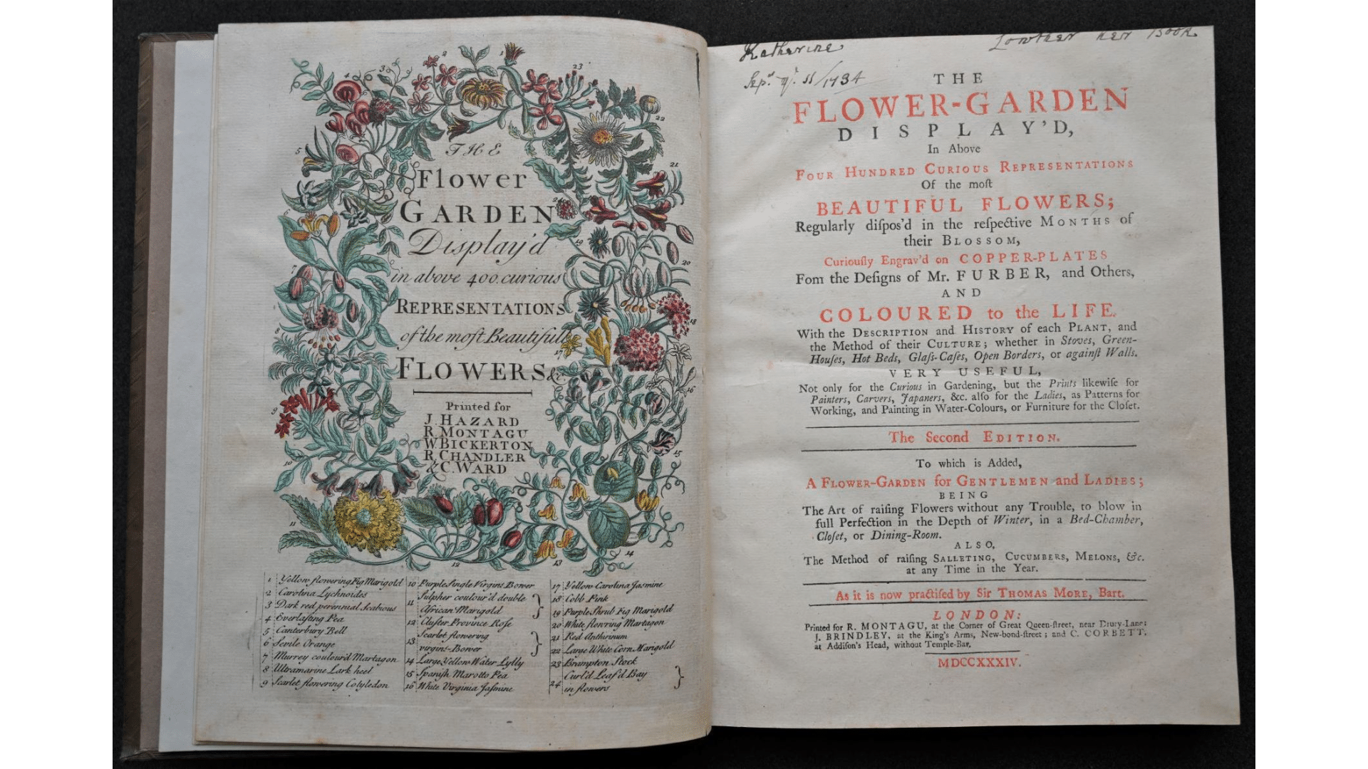Under the Microscope: A look at Lady Anne Monson ‘Remarkable Lady ...