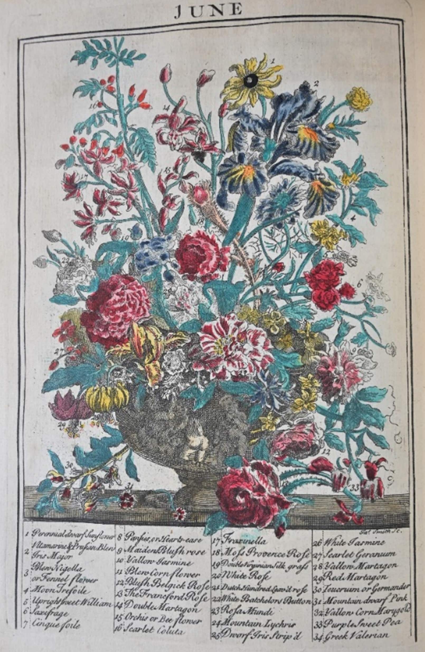 Floral finds from the archives, ahead of East Garden Preview - Raby Estates