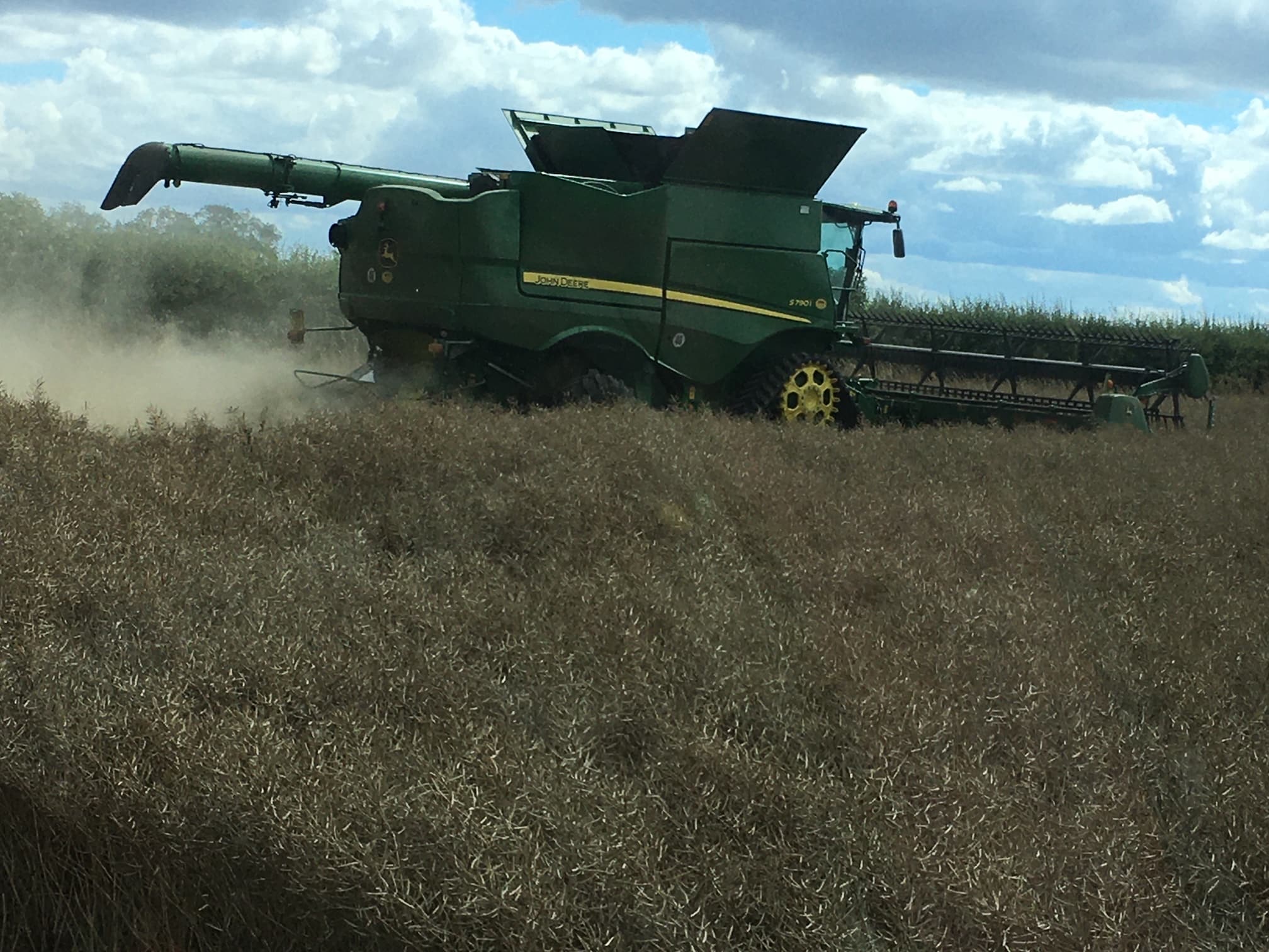 From Soil to Oil | Raby Rapeseed Oil Now Available to Purchase - Raby ...