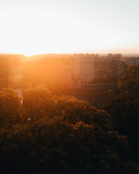 Father's Day Pizza in the Park - Raby Estates