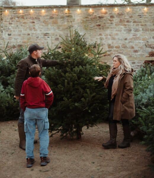 Raby Castle at Christmas - Raby Estates