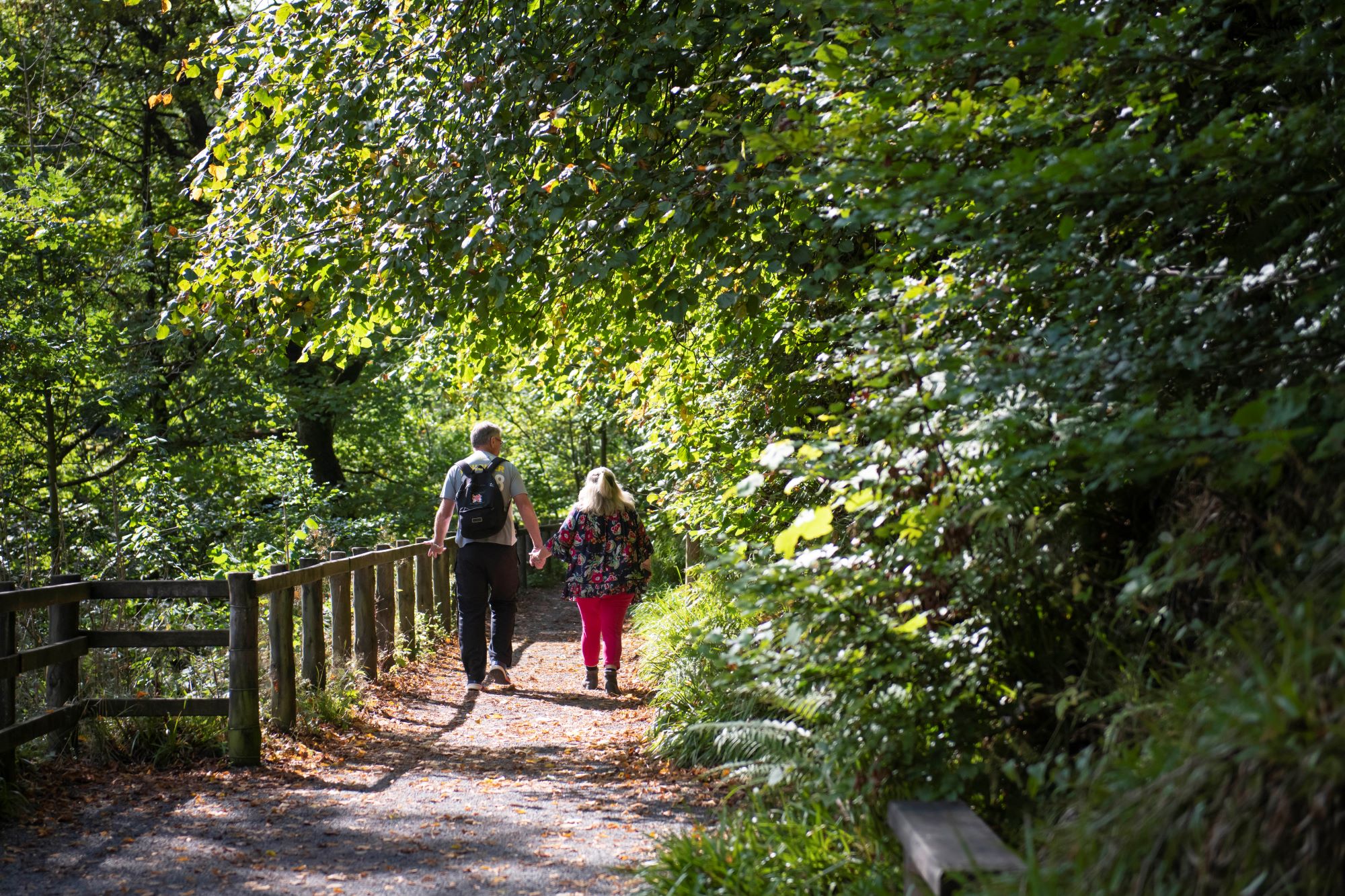 The Creation of High Force Guided Walk - Raby Estates