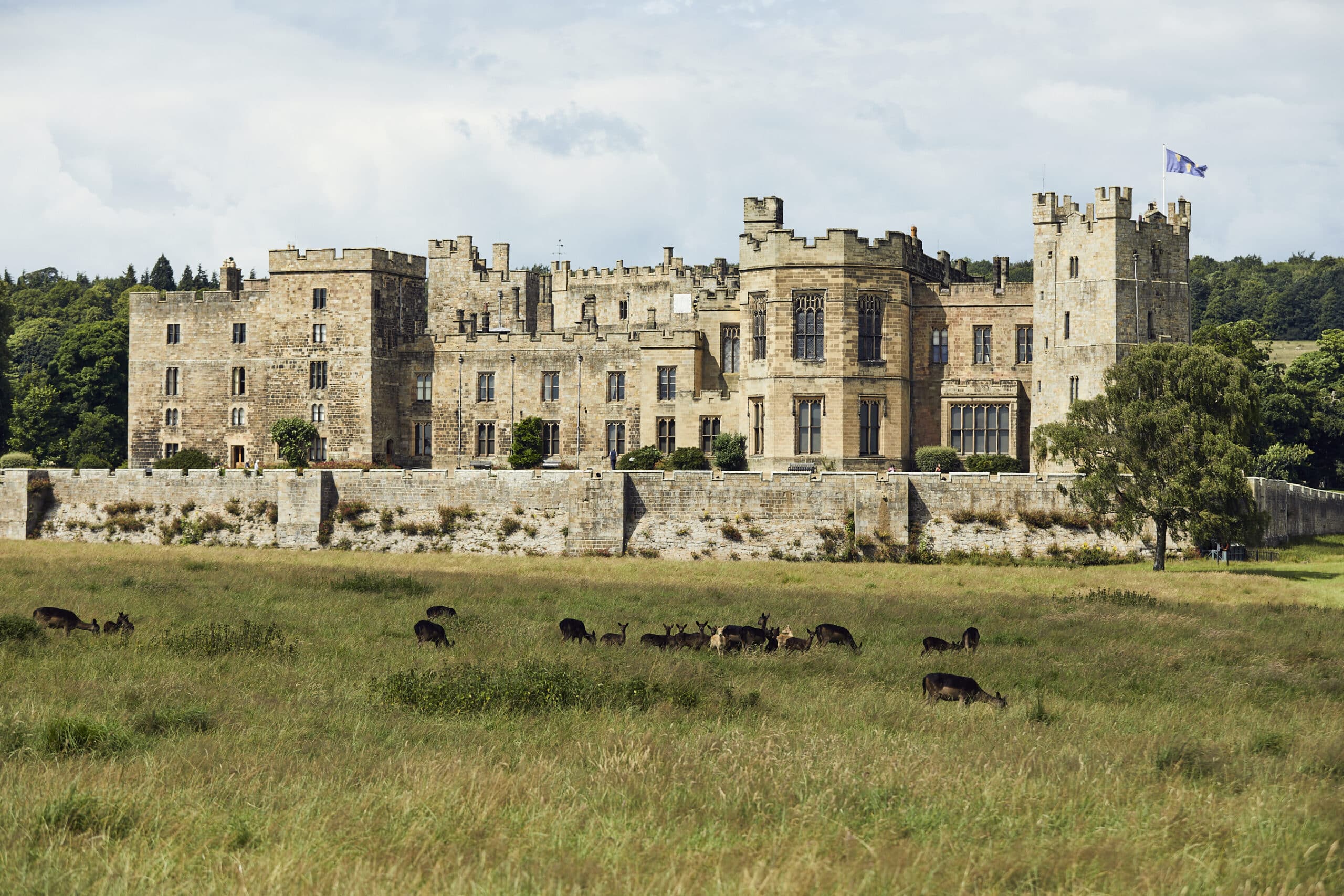 Raby Castle Reopens For 2025 Season - Raby Estates