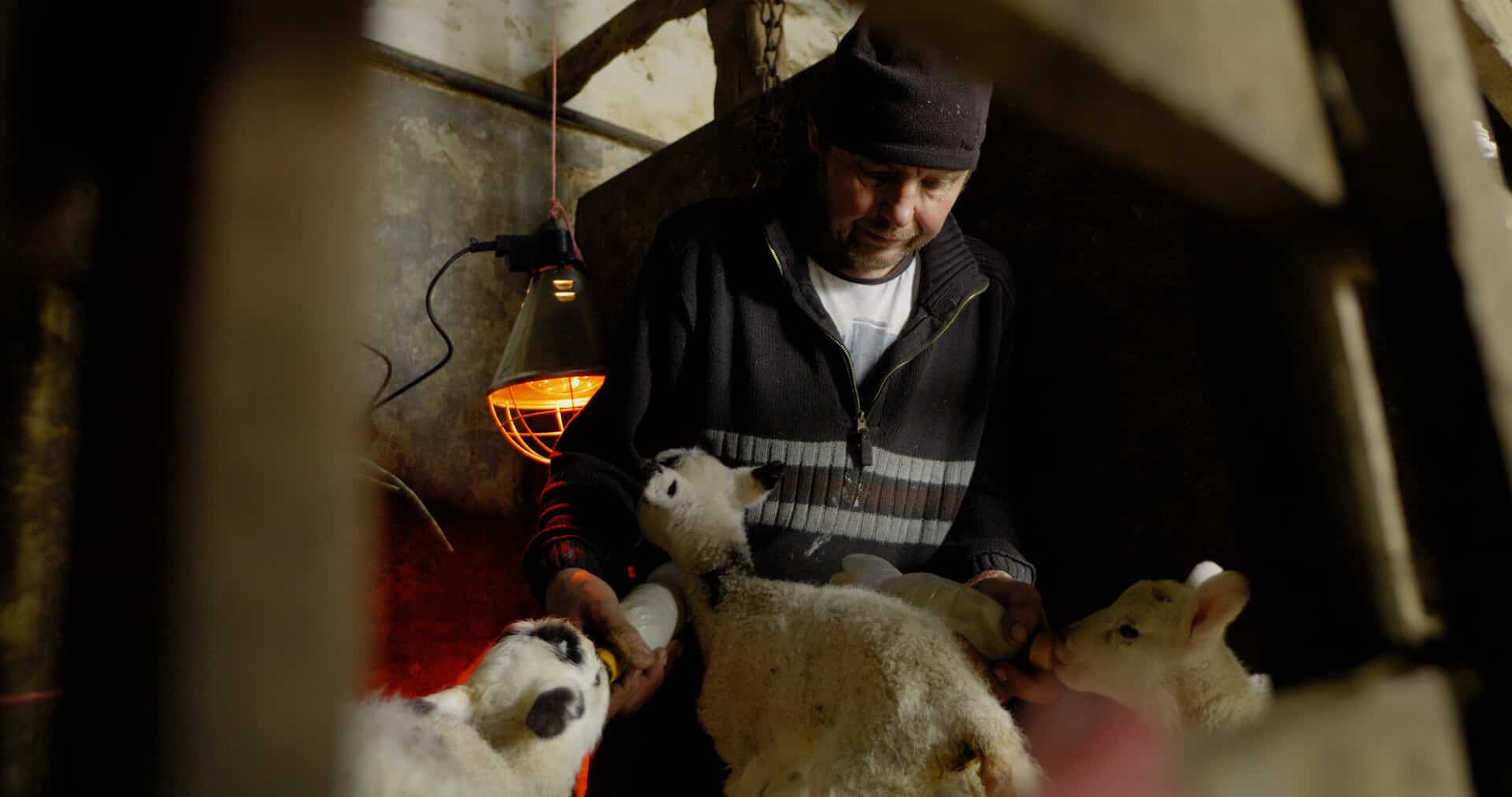 Raby Estates Tenants wins best Farming Documentary - Raby Estates